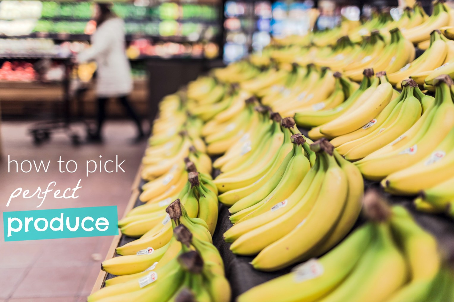 How to pick perfect produce – Rachel Boulos