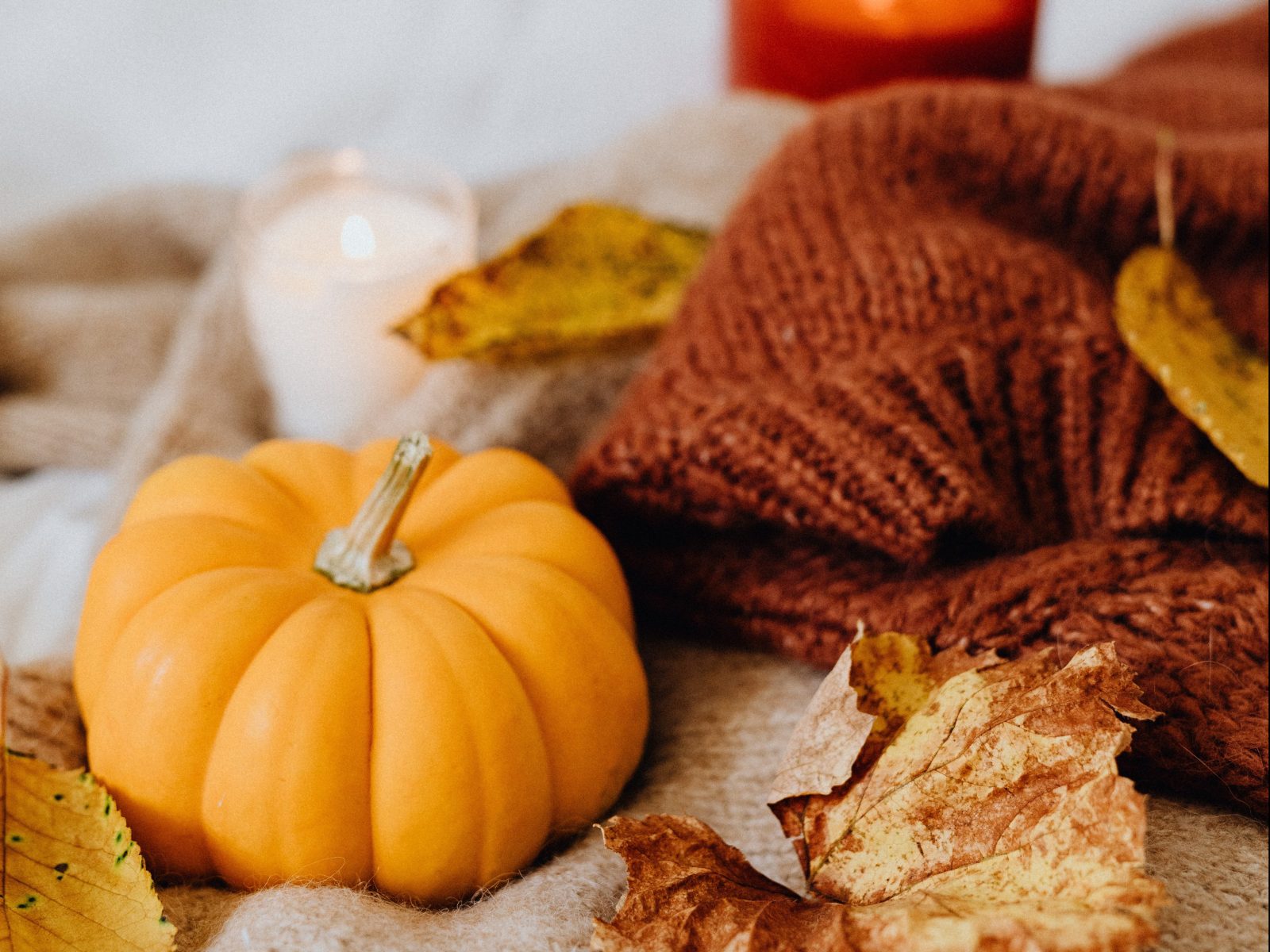 Chronic Pain – Rachel Boulos